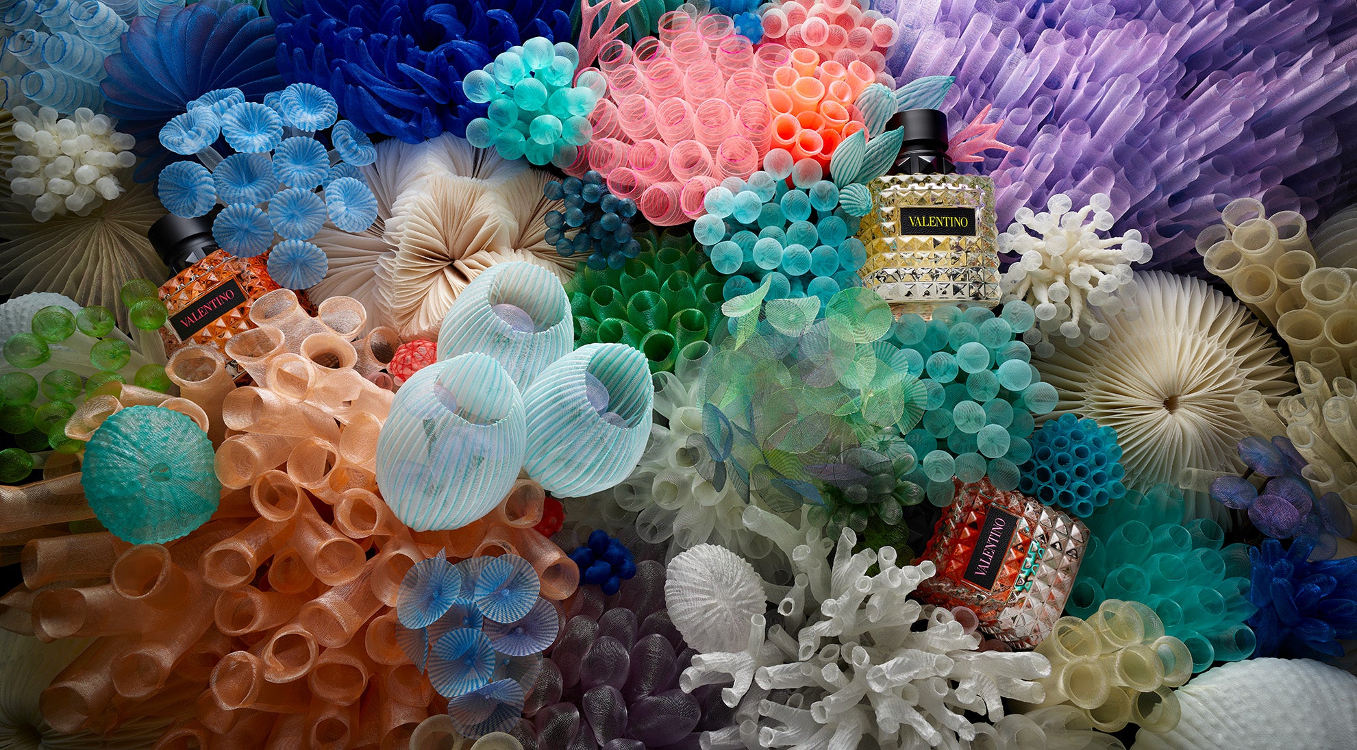 MITCHELL FEINBERG - SUBMERSED FORMS – Narcisse Magazine